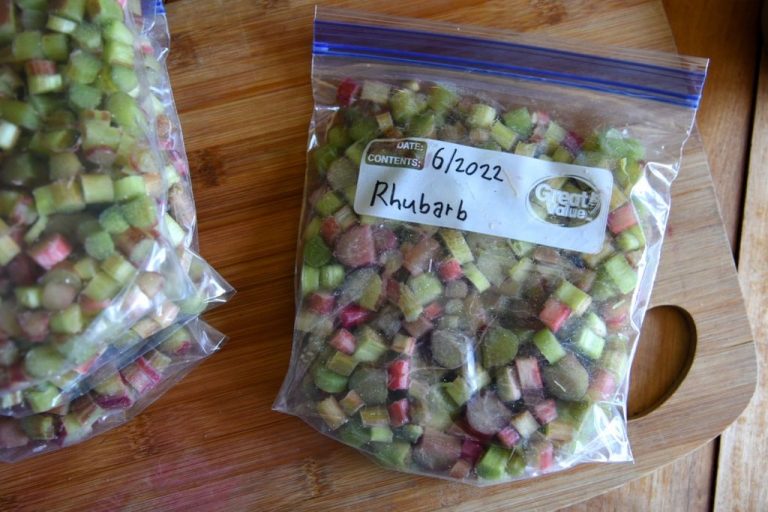 3 Ways to Preserve Rhubarb At Home - An Expression Of Food