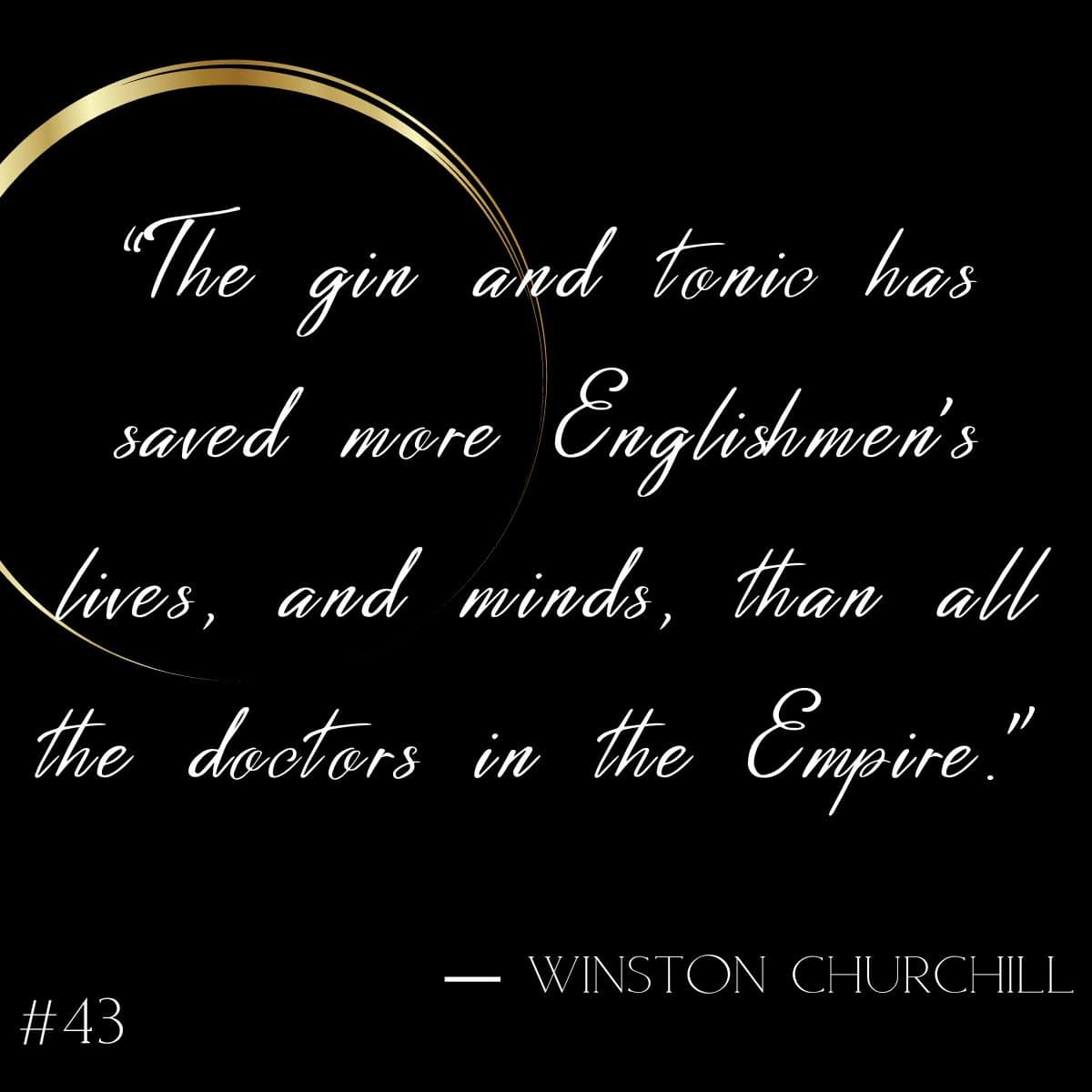 60 of the best cocktail quotes and sayings - An Expression Of Food