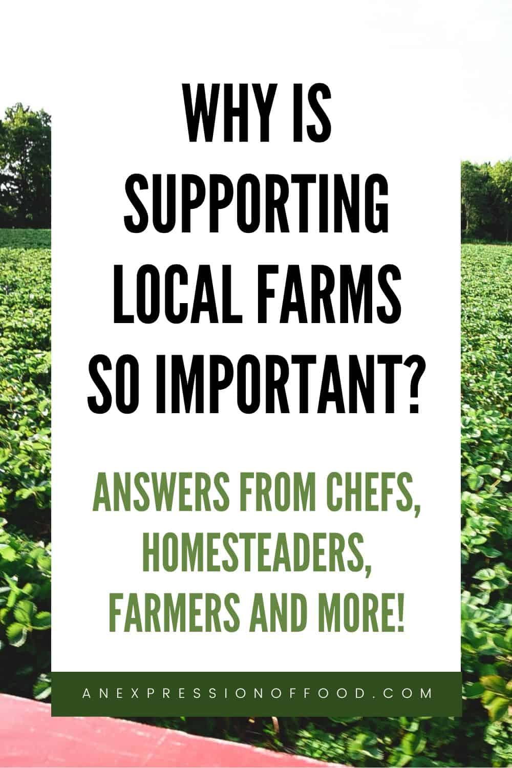 The Importance of Supporting Local Farmers - An Expression Of Food